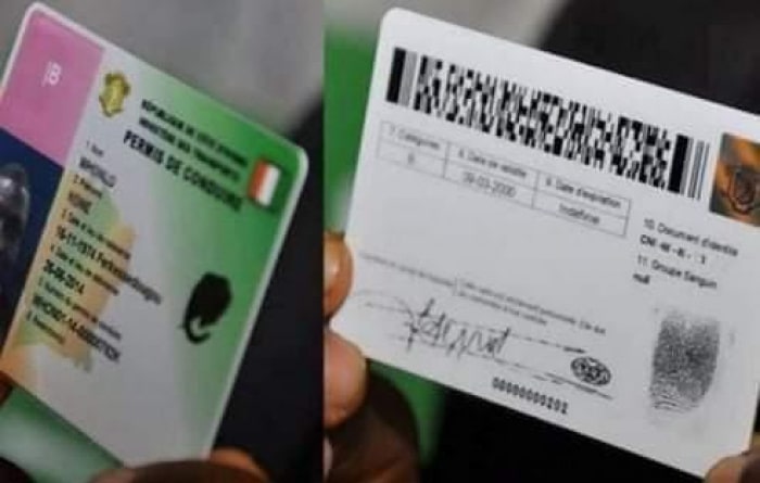 Quel type de permis de conduire ? - Autos Actus